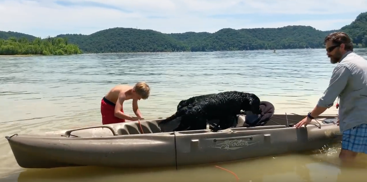 Paddle World Magazine | The international all paddlesports magazine