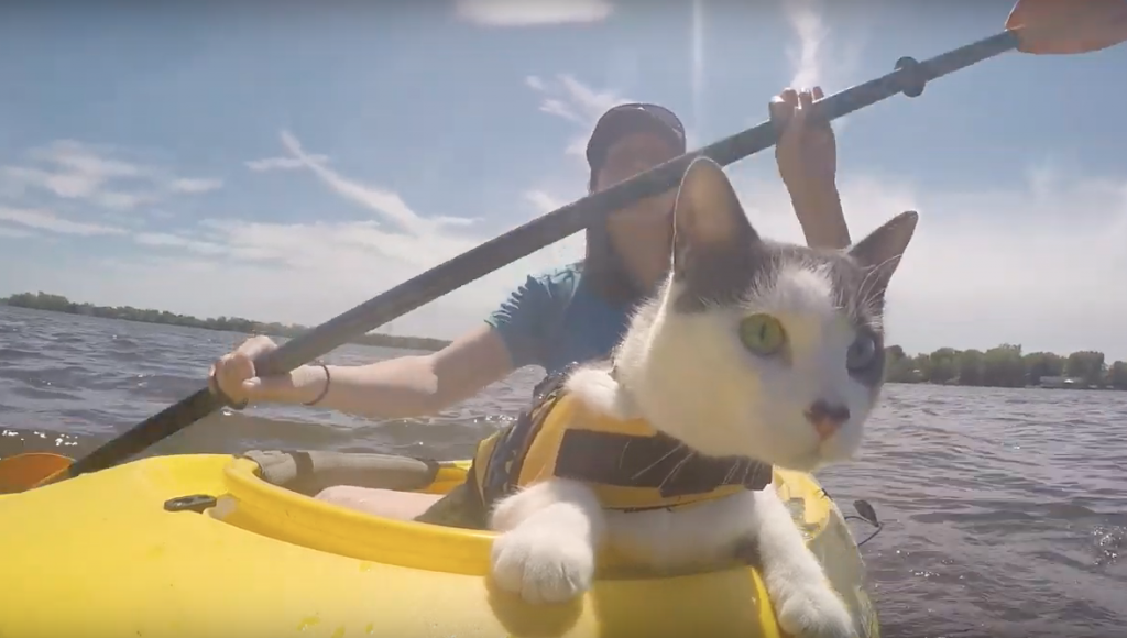 Paddle World Magazine | The international all paddlesports magazine